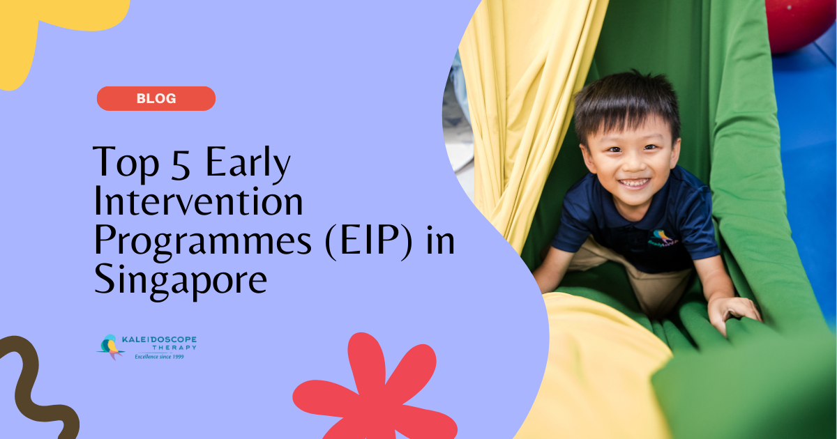 Top 5 Early Intervention Programmes (EIP) in Singapore - Kaleidoscope Therapy Centre